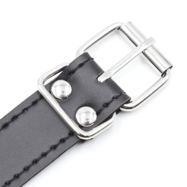 Female Chastity Belt Leather Black - Chastity Cage