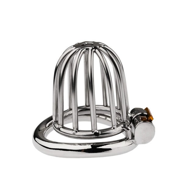 Metal Chastity Cage Male Biro Cage - Chastity Cage