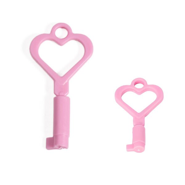 Plastic Concealed Chastity Cage Lock Core - Chastity Cage